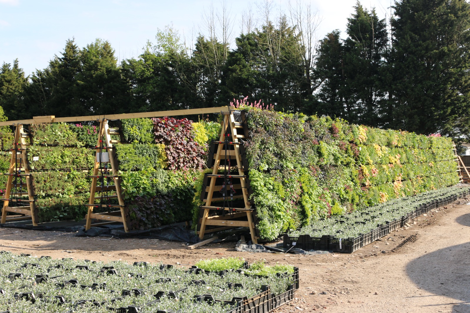 ANS Global moves closer to completing Europe’s largest living wall ...