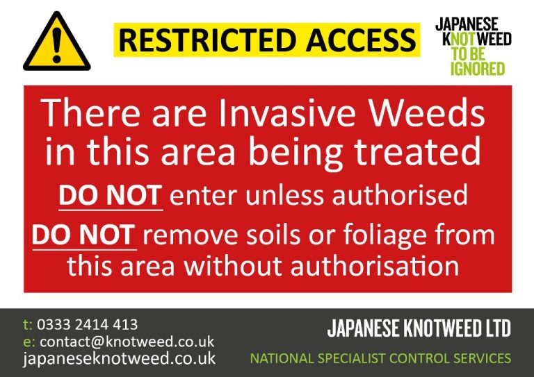How to stop Japanese knotweed from taking over your construction site ...